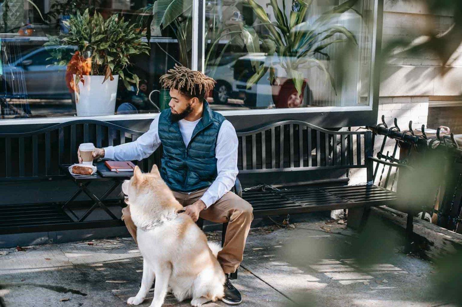 Bringing Your Dog Along Traveling? Here's What You Need To Know ...