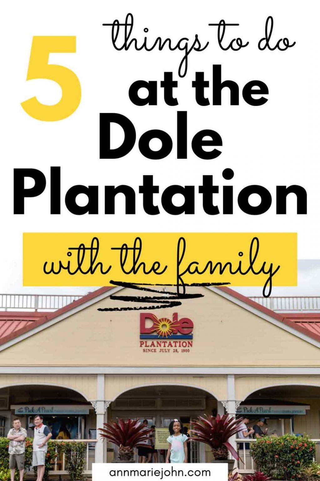 5 Things to Do at the Dole Plantation with Your Family - AnnMarie John