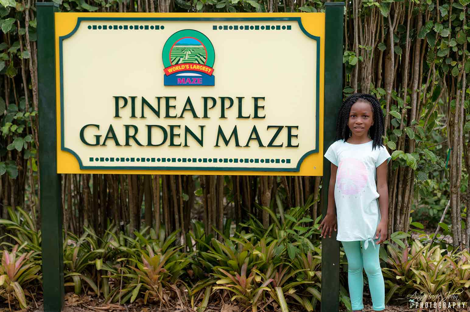 5 Things to Do at the Dole Plantation with Your Family - AnnMarie John