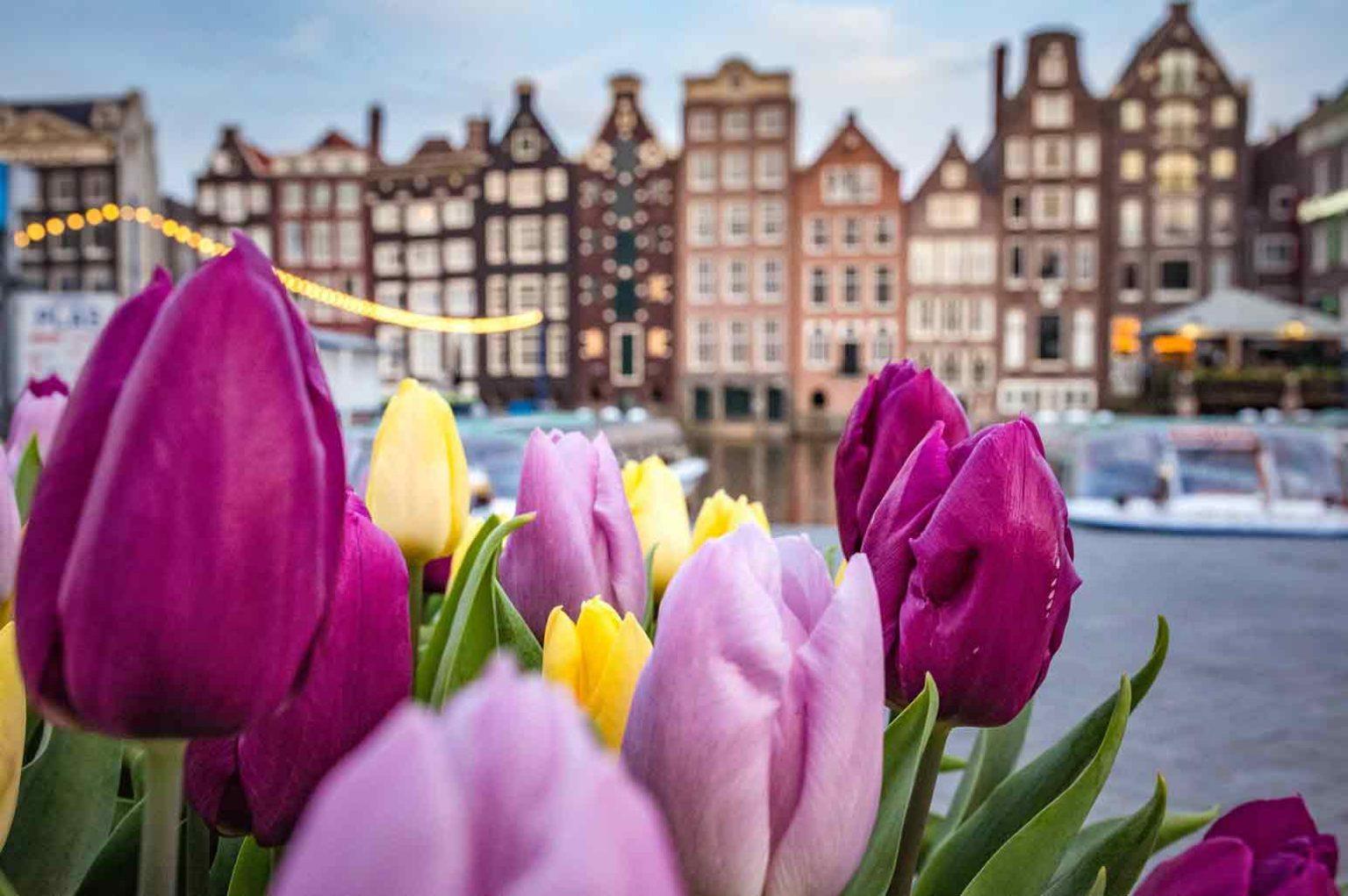 Experience the Breathtaking Beauty of Amsterdam - AnnMarie John