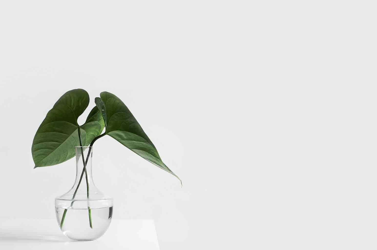 Become a Master Minimalist: 3 Tips to Help You Do More with Less ...