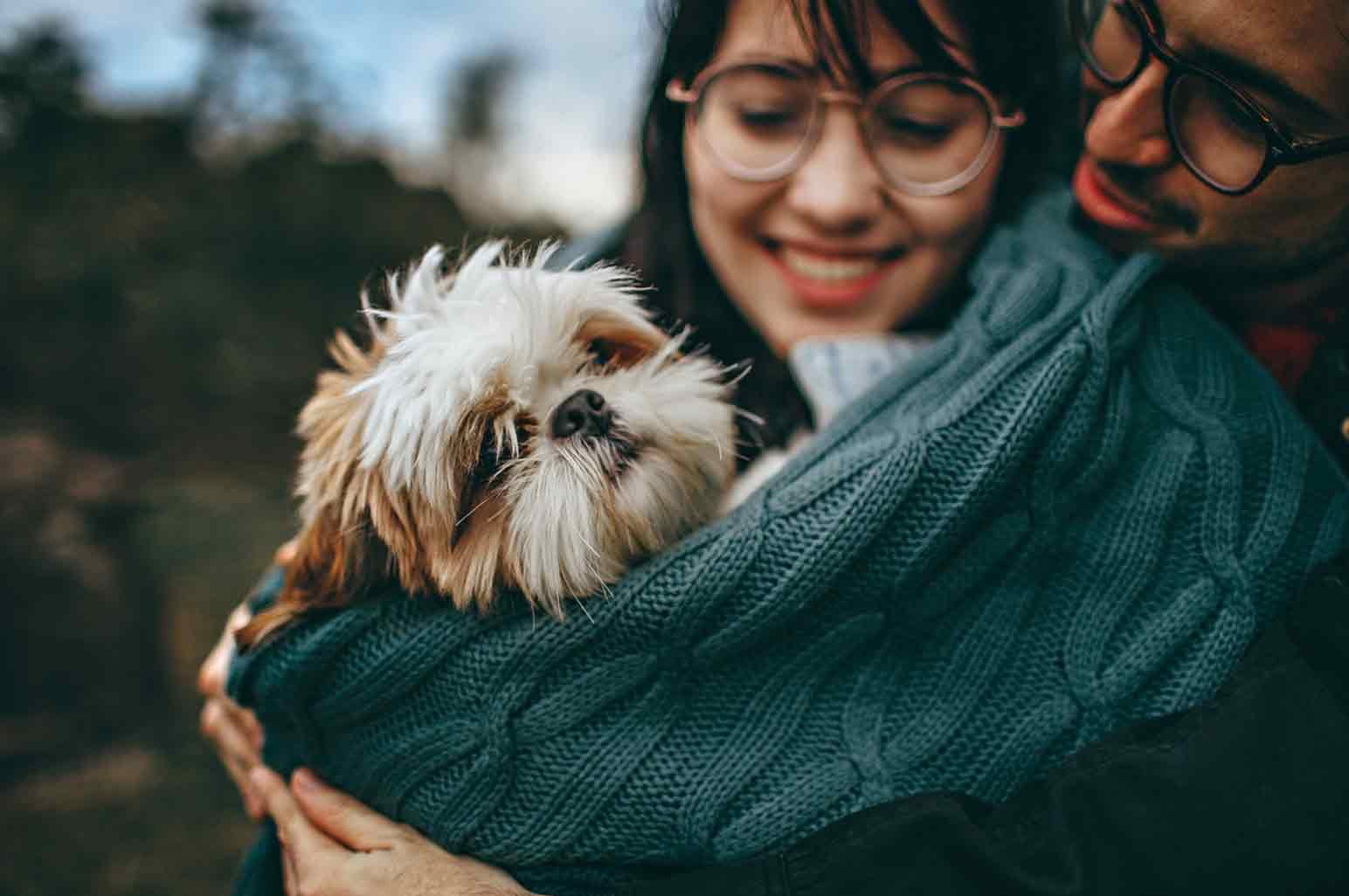 Coping With The Loss Of A Pet - AnnMarie John