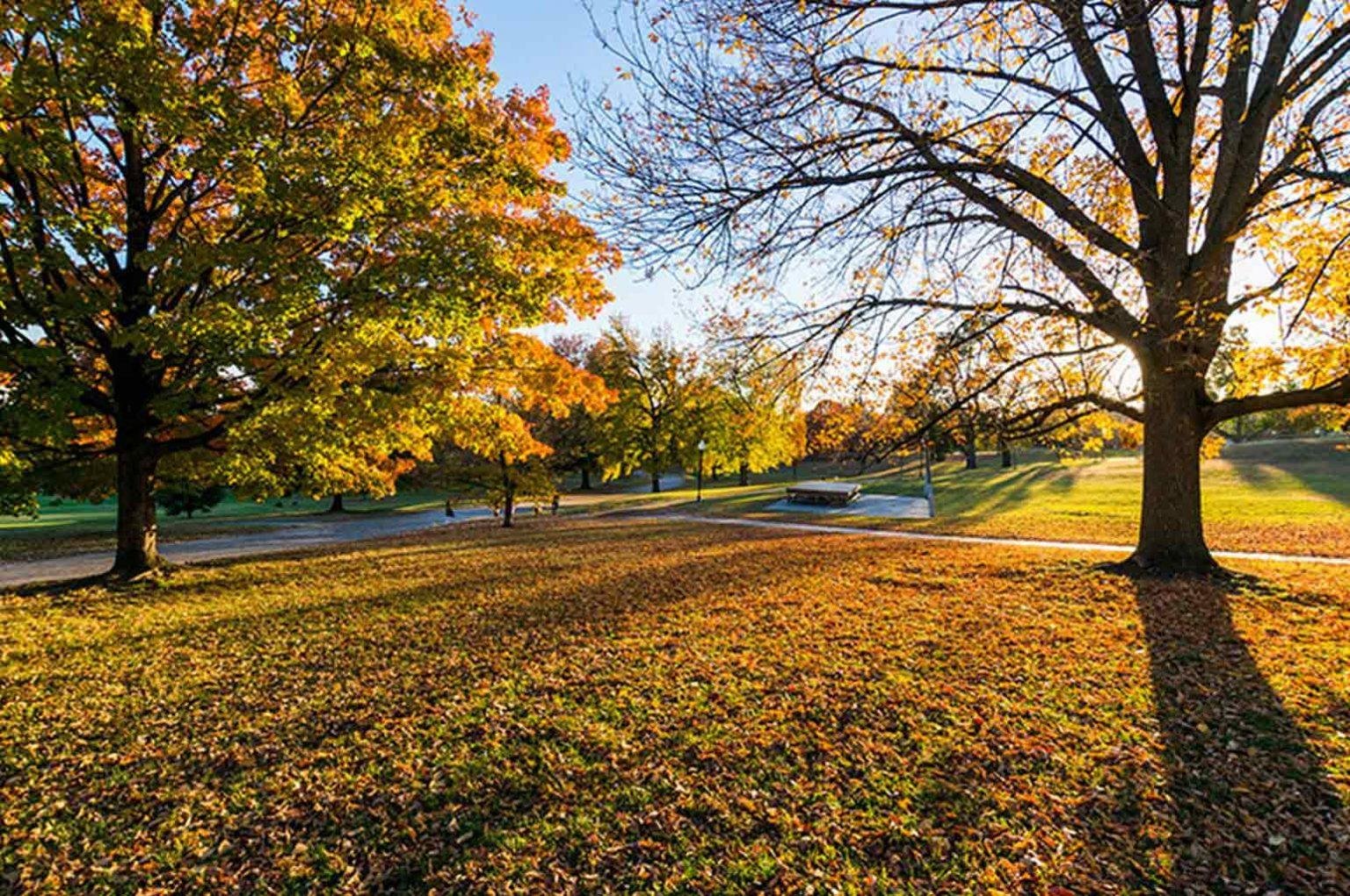 The Most Beautiful States to Visit This Year in the Fall - AnnMarie John
