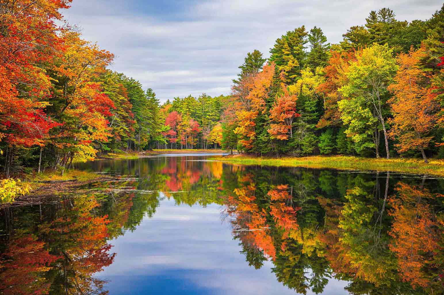 Southern Travel: Where to See Stunning Fall Foliage This Fall ...