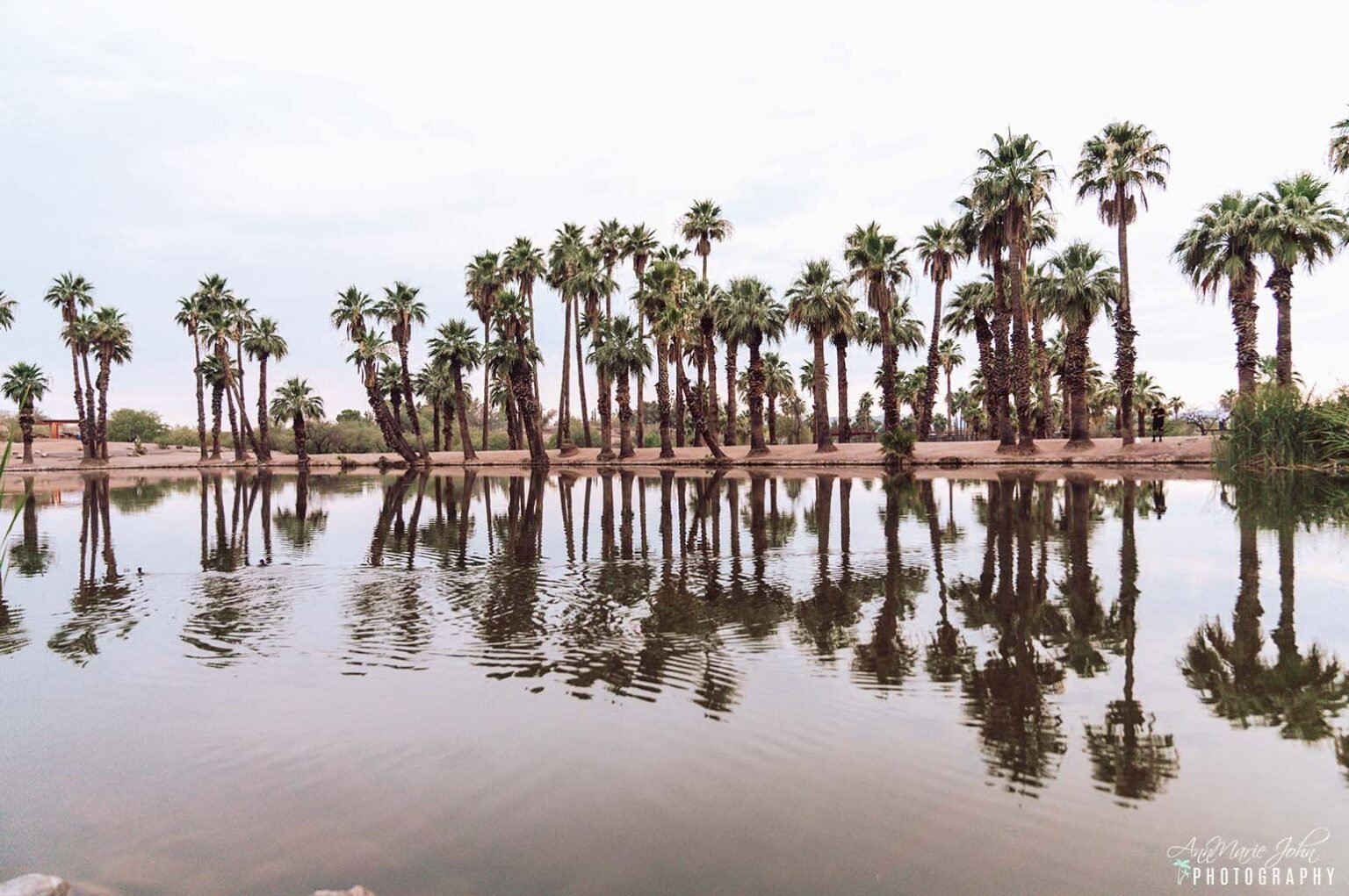 72HRS In Phoenix: What to See and Do - AnnMarie John