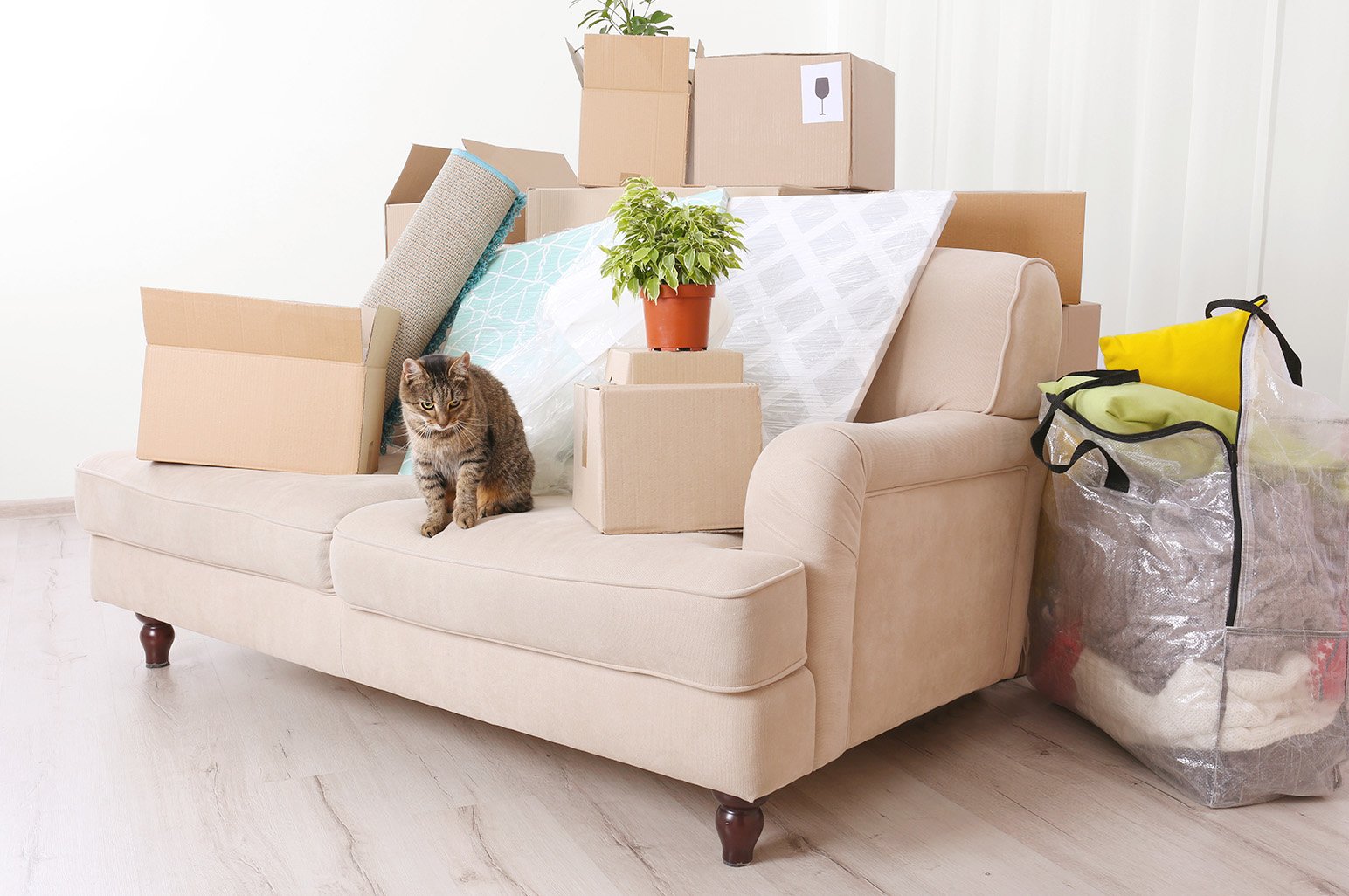 What To Do With All Your Stuff Once You Decide To Move Houses ...