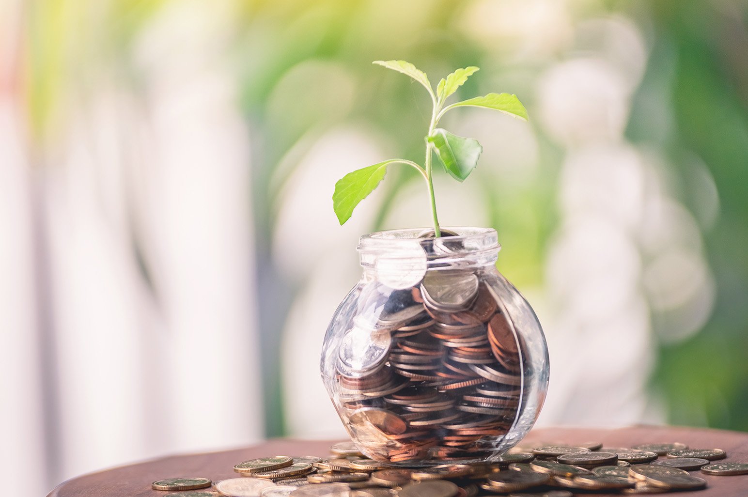 6 Excellent Financial Tips For Your Daily Expenses - AnnMarie John