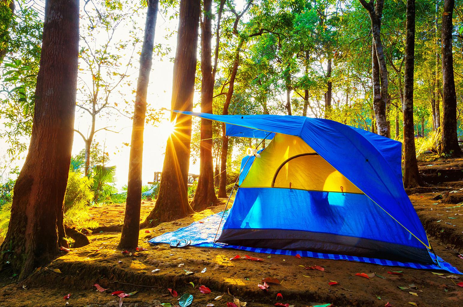 7 Tips for Planning a Family Camping Trip - AnnMarie John