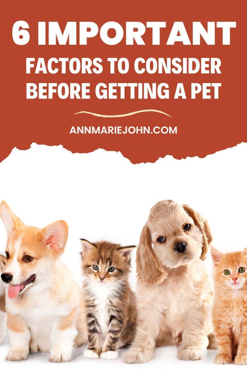 6 Important Factors To Consider Before Getting A Pet - AnnMarie John