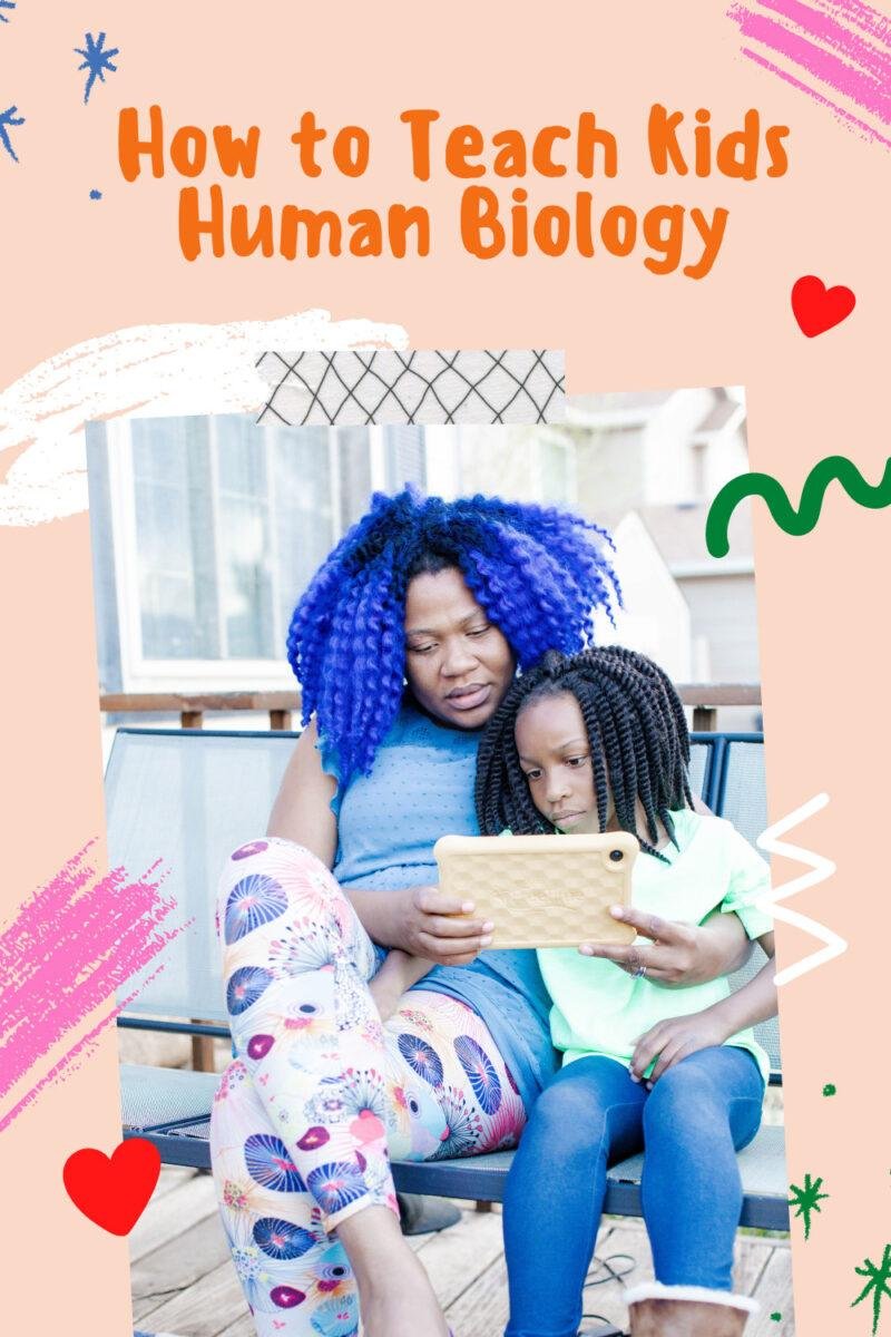 How To Teach Kids Some Basic Human Biology - AnnMarie John