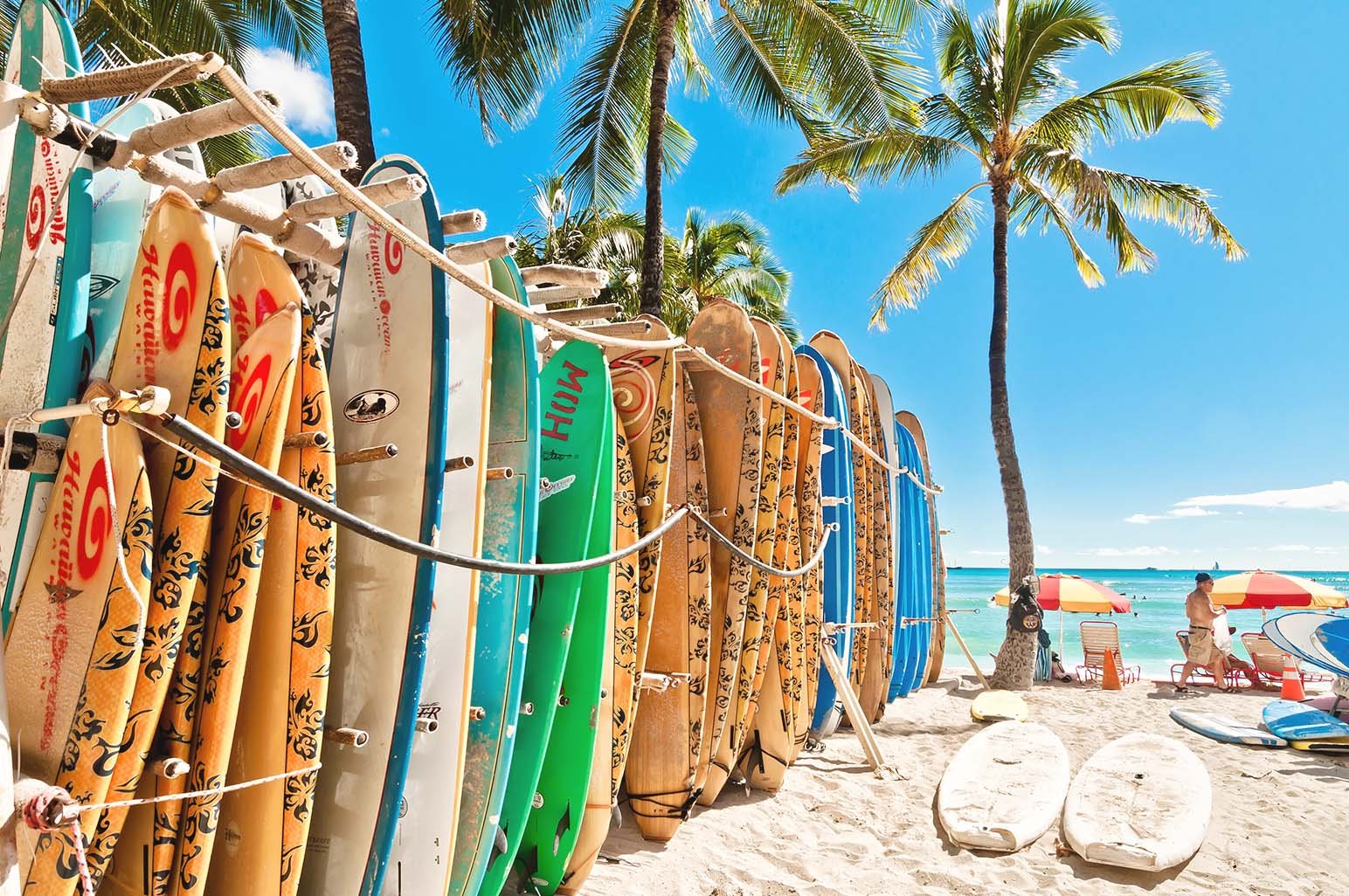 Fun Activities You Should Include On Your Trip To Hawaii - AnnMarie John