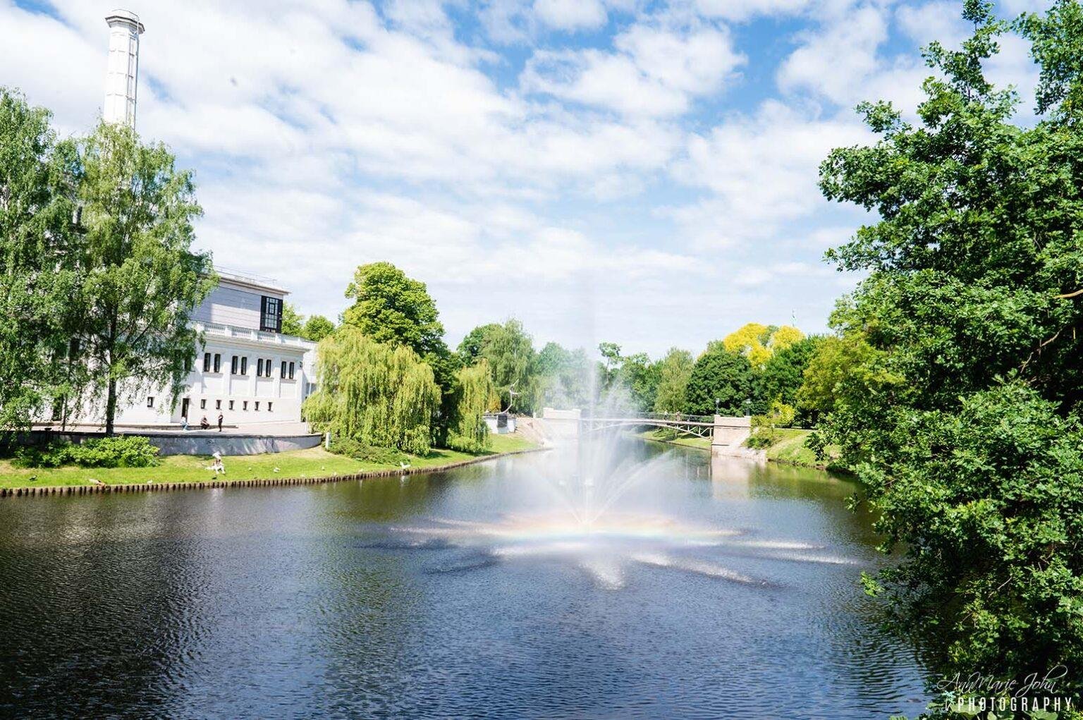 A Comprehensive Guide to Kasco Pond Fountain Costs - AnnMarie John
