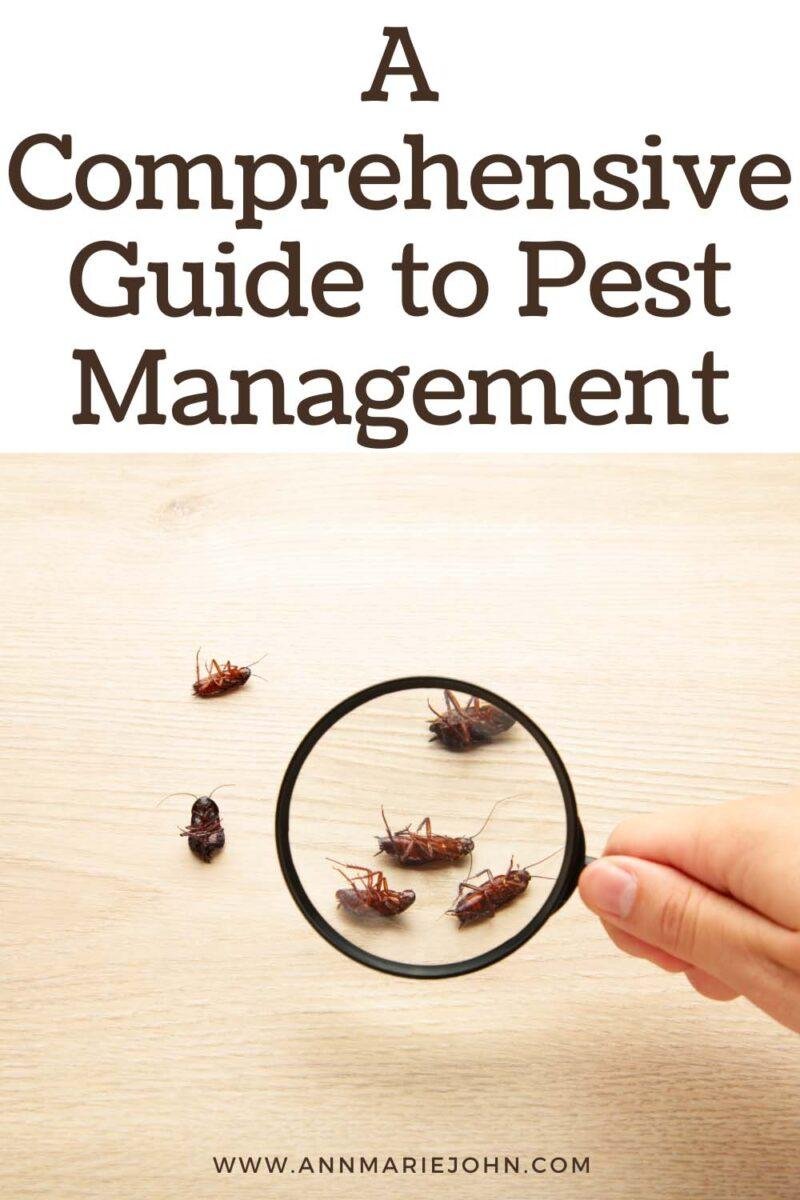 A Comprehensive Guide to Pest Management - AnnMarie John