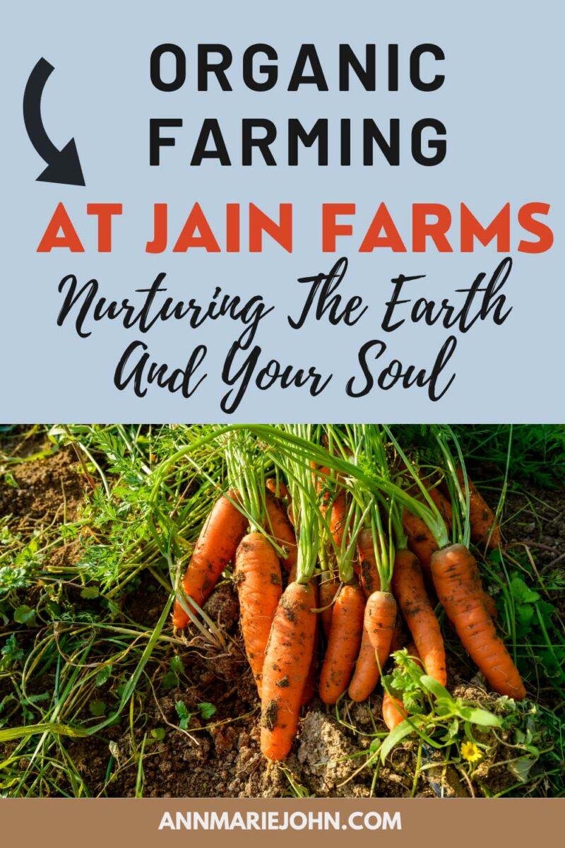 Organic Farming At Jain Farms: Nurturing The Earth And Your Soul ...