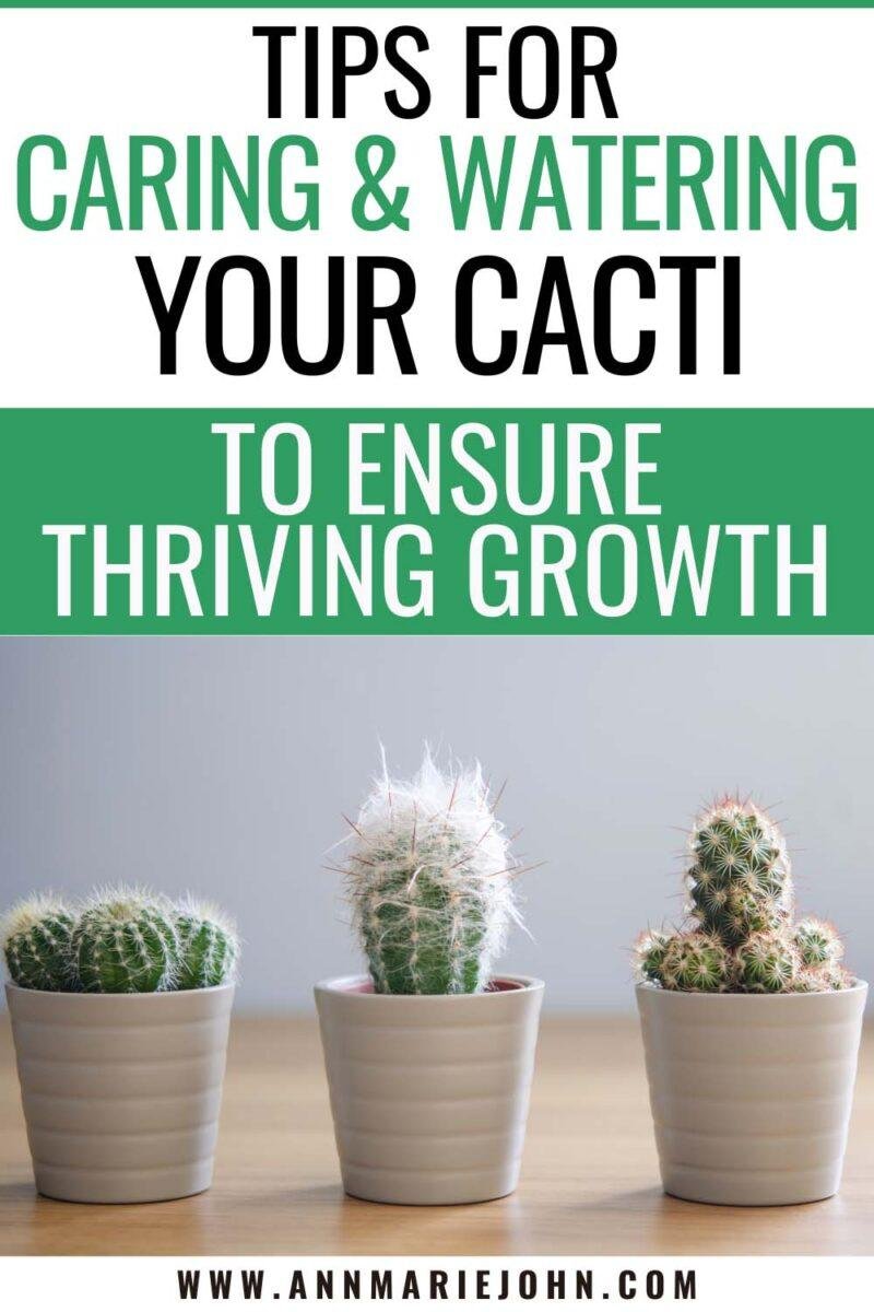 4 Tips for Caring and Watering Your Cacti to Ensure Thriving Growth ...