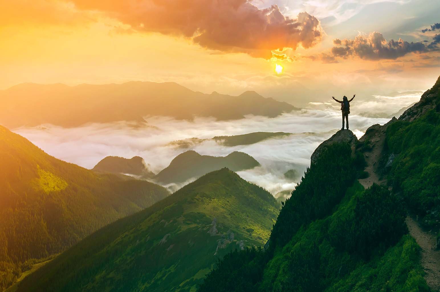 Navigating Your Life Path: Insights for Personal Growth and Family ...