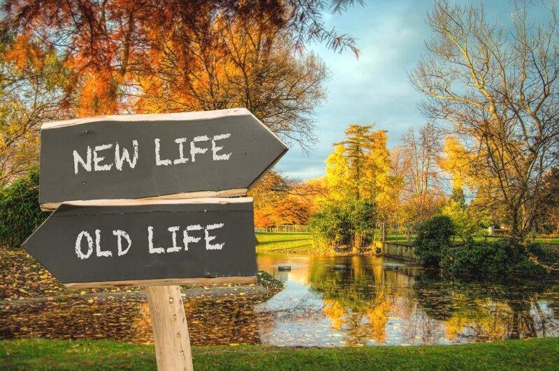 Thriving Through Transition: 6 Tips to Embrace Life's Changes ...