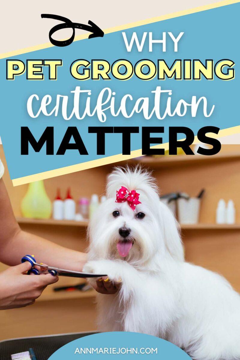 Why Pet Grooming Certification Matters for the Success of Your Career ...